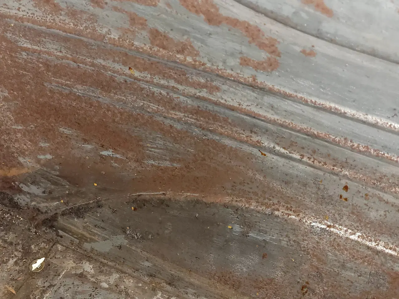 Pav 40 Trailer 1967 | Hovborg - GulogGratis.dk