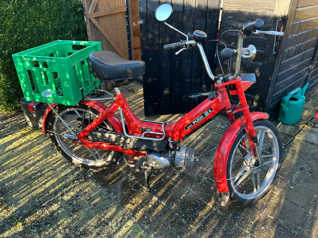 puch maxi | Nordborg - GulogGratis.dk