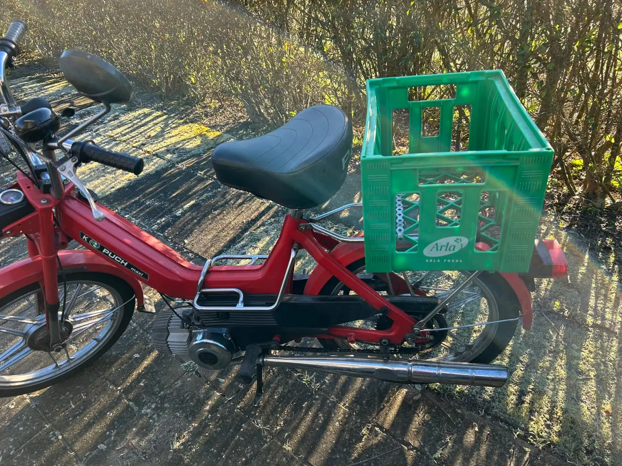 puch maxi | Nordborg - GulogGratis.dk