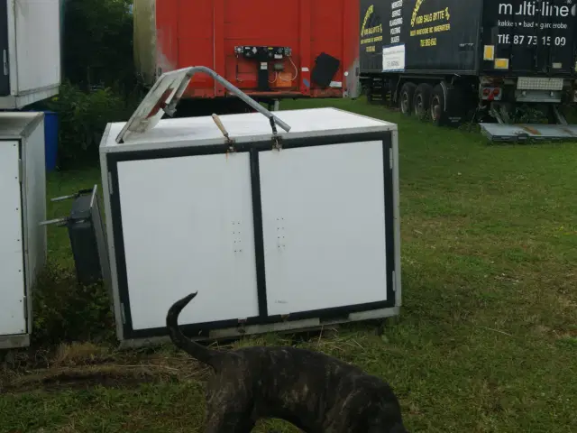 Bokse, Til lager opmagasinering, | Tønder - GulogGratis.dk