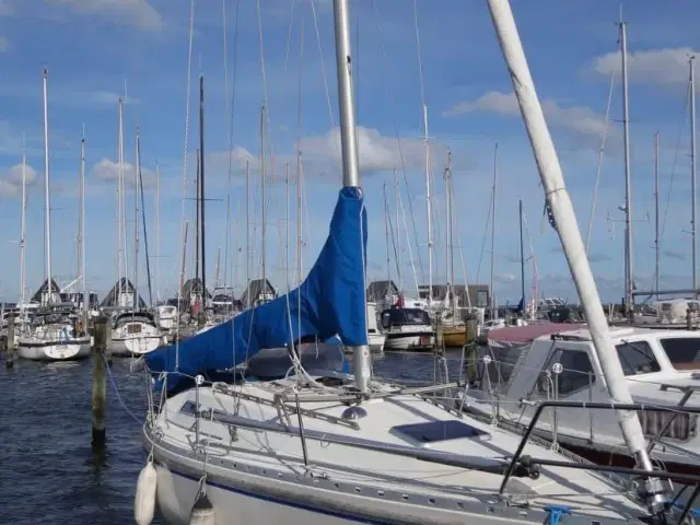 Mamba 31 sejlbåd | Viborg - GulogGratis.dk