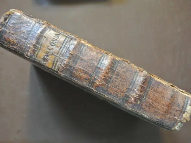 gasconiana ou recueil des bon mots, af francois sa | Vester Skerninge ...