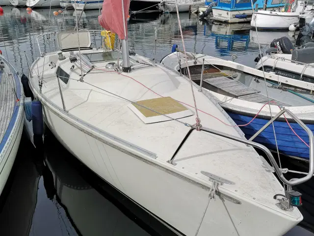 Albin Express | Klampenborg - GulogGratis.dk