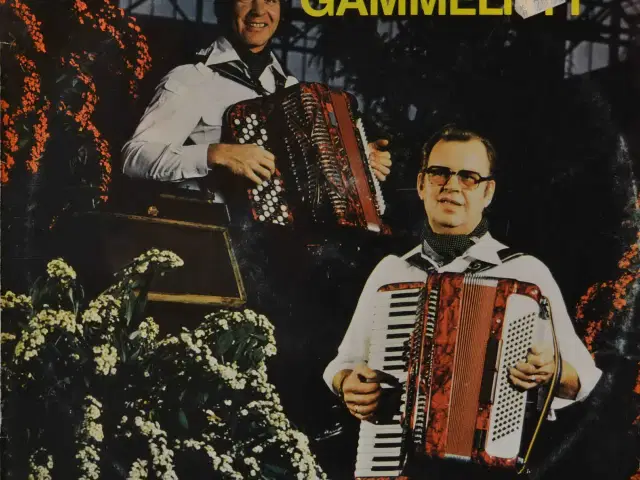 Lp Plader - LP, Div, 19, | Havndal - GulogGratis.dk